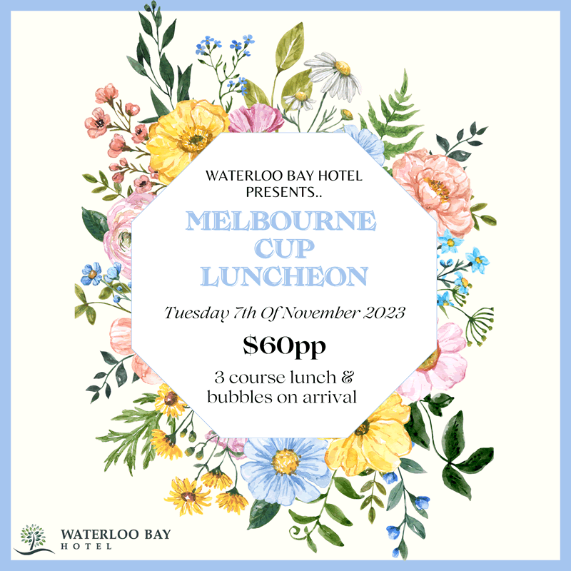 Waterloo Bay Hotel - Pub & Accommodation In Brisbane