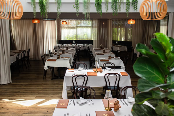 Waterloo Bay Hotel - Pub & Accommodation In Brisbane